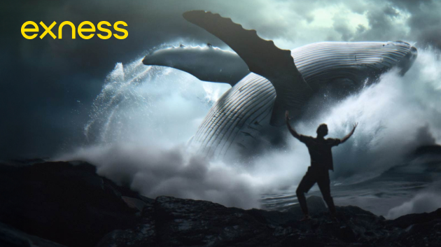 Exness launches bold new global campaign, putting traders at the heart ...